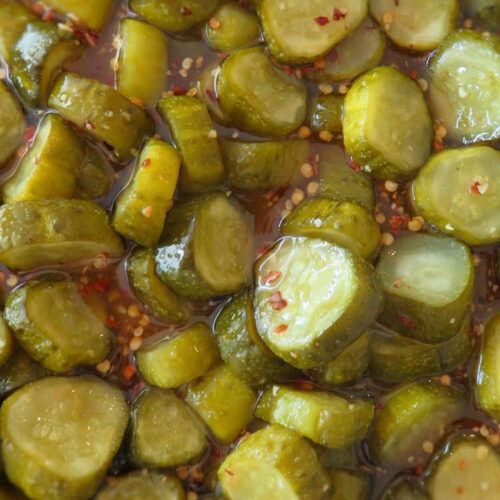Quick Fix Spicy Pickles - Life's A Tomato