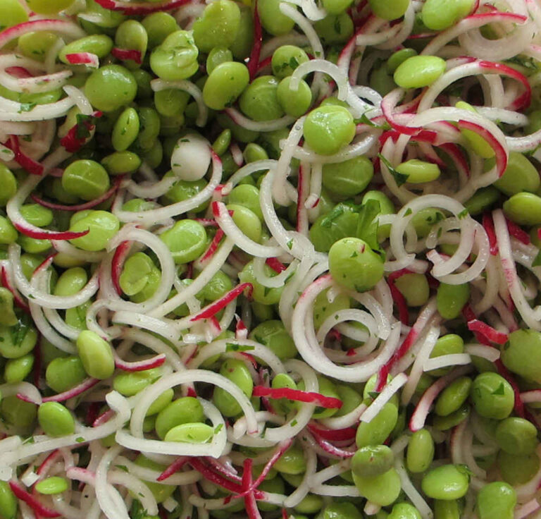 Spiralized Churchill Downs Butterbean and Radish Salad - Life's A Tomato